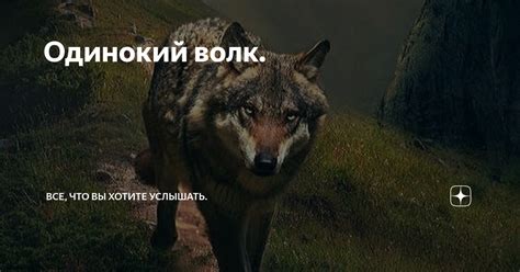 Одинокий волк Все что вы хотите услышать Дзен
