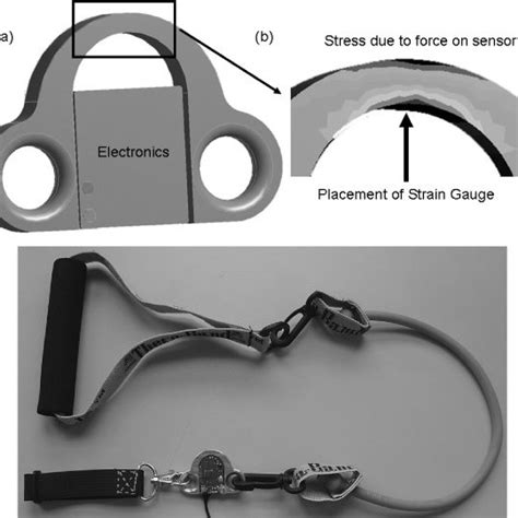 Sensor Design A Geometry Of The Force Sensor B Stressed Area When Download Scientific