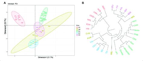 Pca And Neighbor Joining Tree Results A Pca Based On The Minimum