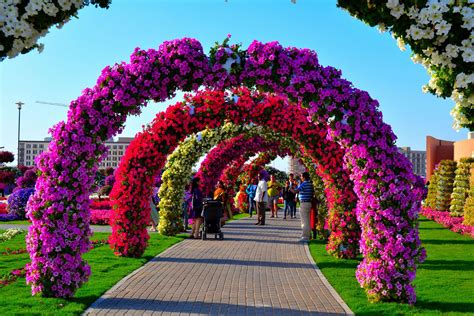Jardin Milagroso Que Maravilla Miracle Garden Dubai Garden Garden