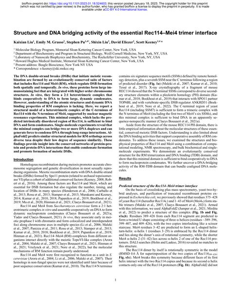 Pdf Structure And Dna Bridging Activity Of The Essential Rec114 Mei4 Trimer Interface