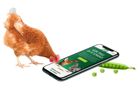 Aha Cest Intéressant Horta Jardin And Animaux