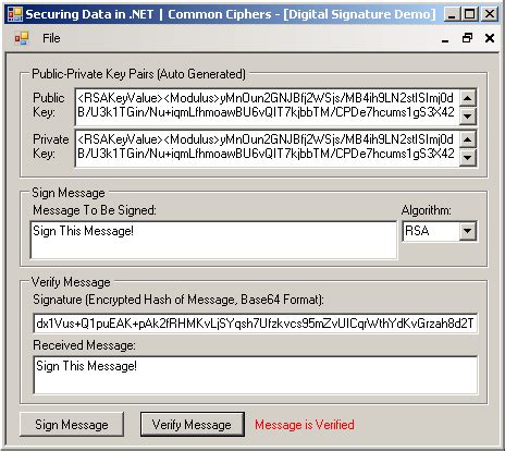 Securing Data In NET CodeProject