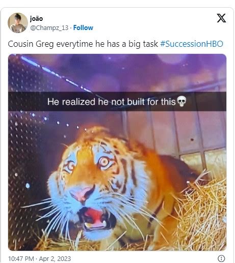 Shocked Tiger He Realized He Not Built For This Image Gallery List