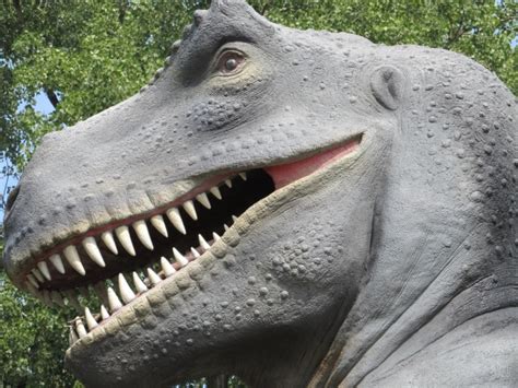Dinosaur Free Stock Photo Public Domain Pictures