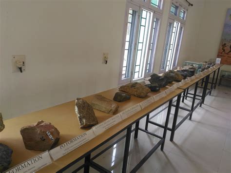 Shivalik Fossil Park Travel Bug Vishal
