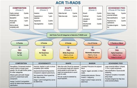 Ti Rads 5 • Thyroid Papillary Cancer