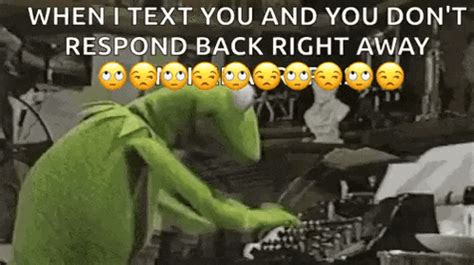 Kermit Typing  Kermit Typing Frog  탐색 및 공유