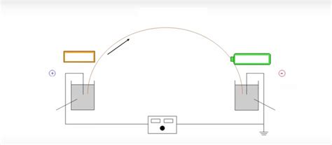 Capillary Electrophoresis Diagram Quizlet