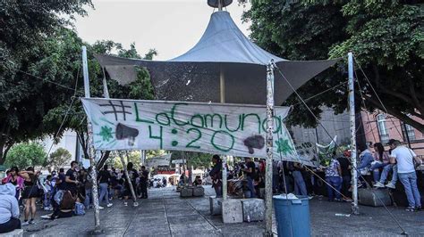 Avanzan Espacios Para Consumir Marihuana Ante El Acecho De Grupos