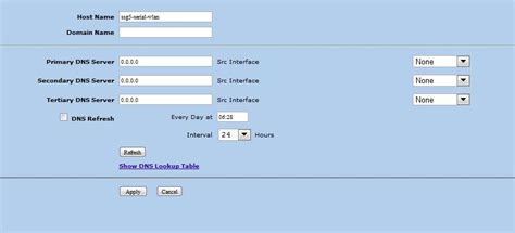 domain name system can juniper ssg be used as dns recursor server