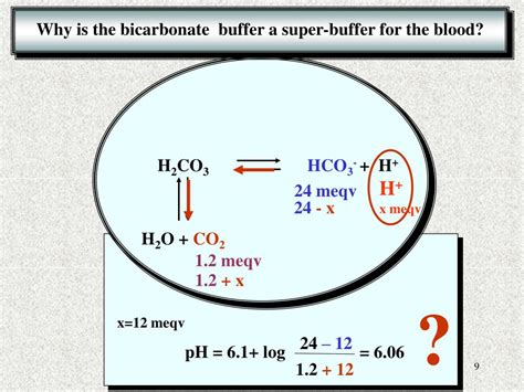 Ppt Buffer Systems Of The Body Powerpoint Presentation Free Download