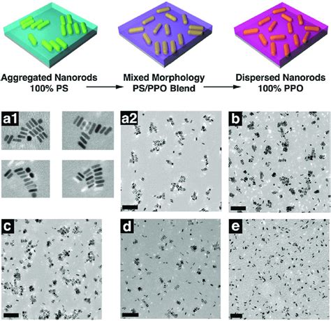 A Schematic Showing The Dispersion Of Polymer Modified Nanorods In Download Scientific