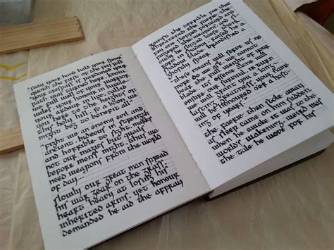 Inside My Commonplace Book Calligraphy Script Is Insular Minuscule Inside My Commonplace Book Calligraphy Script Is Insular Minuscule