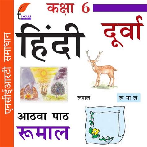 एनसीईआरटी समाधान कक्षा 6 हिंदी दूर्वा पाठ 8 रुमाल
