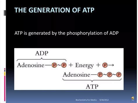 Biological Oxidation Of Atp Synthesis Part Ii Ppt