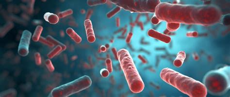 ¿qué Son Los Genes Tejiendo La Red De La Vida