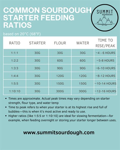 Sourdough Feeding Ratio Chart When To Use Each Ratio Easy Guide