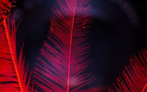 自動車開発を支えるalmとai 「codebeamer」が挑む日本のスプレッドシート文化 Plus Web3 Media