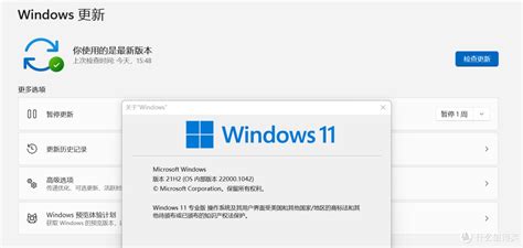 Windows 11首次重大更新！如何快速升级win11 22h2？软件应用什么值得买
