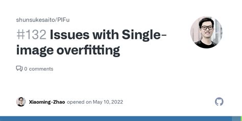 Issues With Single Image Overfitting · Issue 132 · Shunsukesaitopifu