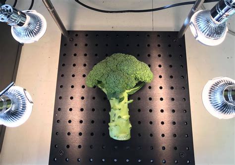 Information Agrifood Quality Estimation Using Hyperspectral Techniques Ict Agri Food Meta