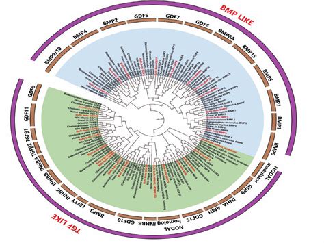 Professional Bioinformatics Data Analysis And Visualization Services Upwork