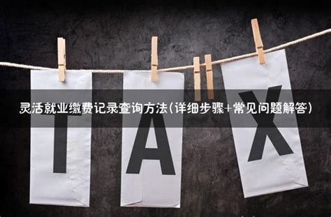 灵活就业缴费记录查询方法详细步骤常见问题解答 灵活用工代发工资平台