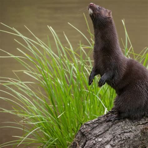 Michele Sofisti Posted On Linkedin