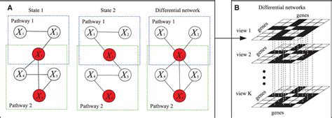 Figure From Incorporating Prior Information Into Differential Network