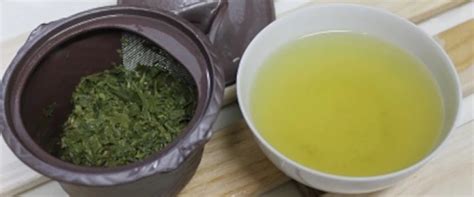 Descubre El Té Té Verde Japonés Sencha