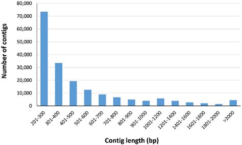 Distribution Of Contig Lengths In Base Pairs Across The Assembled