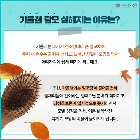 카드뉴스 탈모의 계절 가을 모발 꽉잡는 탈모 관리법 당신의 건강가이드 헬스조선