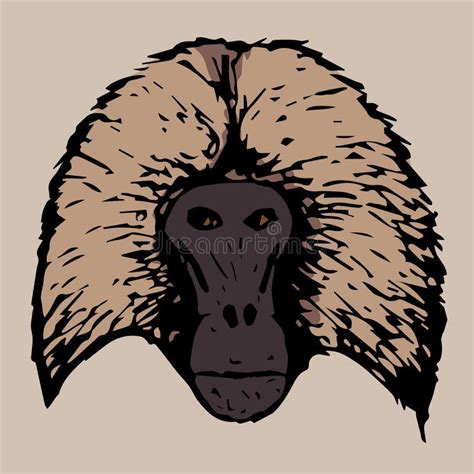 Gelada Capo Del Babbuino Illustrazione Vettoriale Illustrazione Di