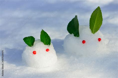 雪で作ったウサギ Photos Adobe Stock