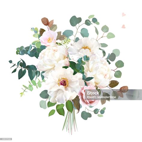 먼지가 많은 핑크 블러시 로즈 화이트amp크리미 우디 모란 동백 꽃 벡터 디자인 동백에 대한 스톡 벡터 아트 및 기타 이미지 동백 분홍 일러스트레이션 Istock