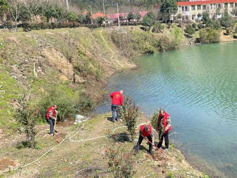 洋塘林场开展全民义务植树活动 走基层 华声经济 华声在线