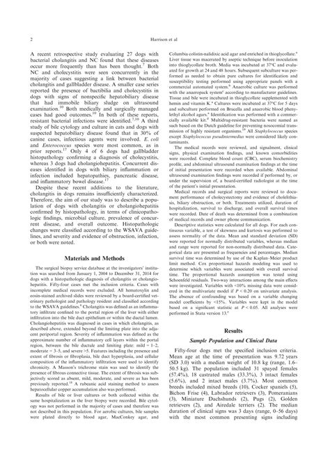 Solution Cholangitis And Cholangiohepatitis In Dogs A Descriptive