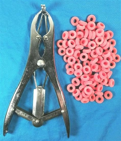 Castration Bands