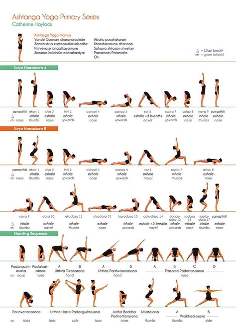 Best 12 Hatha Yoga Poses Chart 60 Common Yoga Poses And Their Names