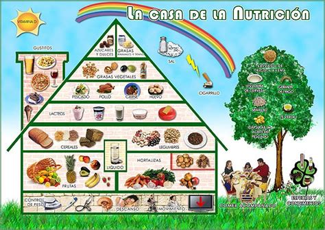 La funcion de nutrición mapa conceptual 1 Funcion de nutricion