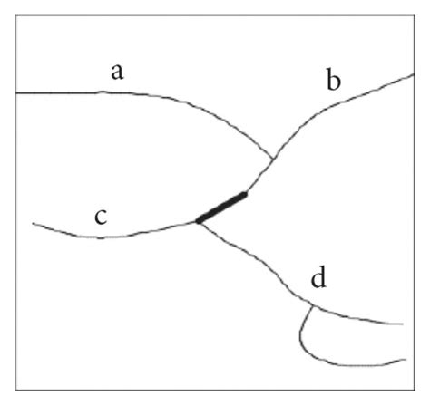 Schematic Sketches Of The Failure Patterns For Specimens With A Closed Schematic Sketches Of The Failure Patterns For Specimens With A Closed
