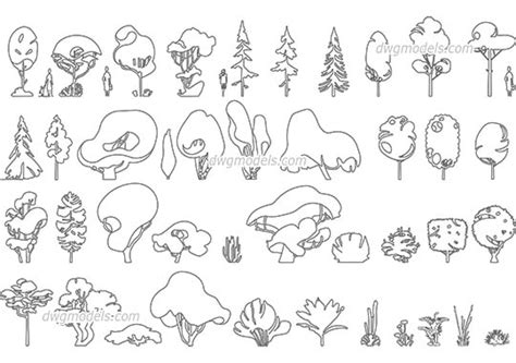 Tree Plan Autocad