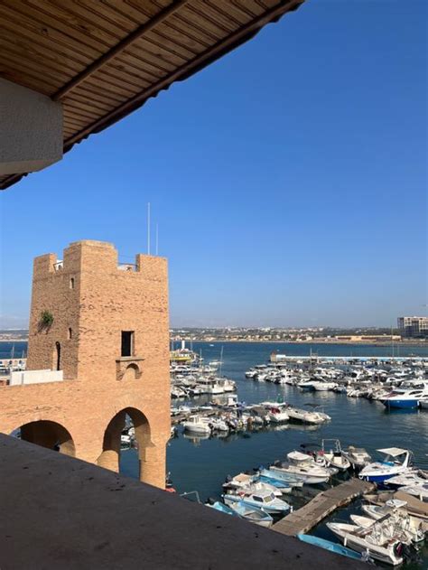 Sarah Saracsi Profile Pinterest