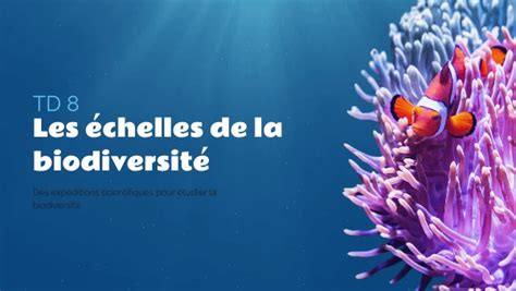Les échelles De La Biodiversité
