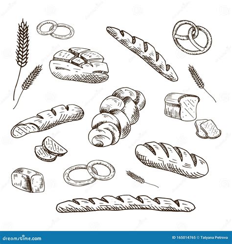 Bakery Set Collection Of Hand Drawn Bread Products Sketch Style