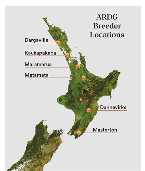 Ardg Advanced Romney Designer Genetics Welcome To The Ardg