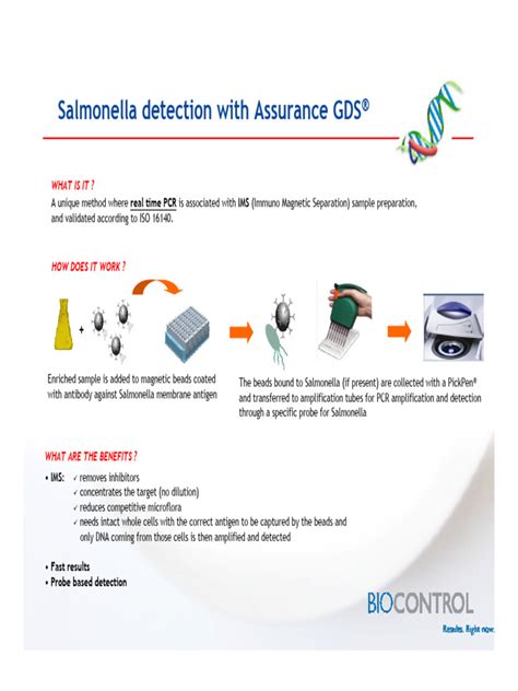 2013 Ass Gds Flow Chart Pdf