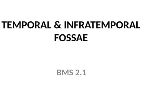 Lecture 7 Temporal And Infratemporal Fossae Pptx