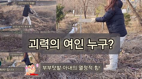 괴력의 여인 고란이가 땅굴 파고 넘어 온다고 Youtube